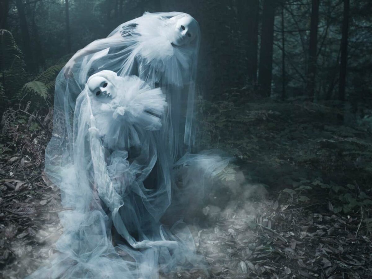 A Scanty Post-Mortem History Of Spirit Photography – Atmostfear ...