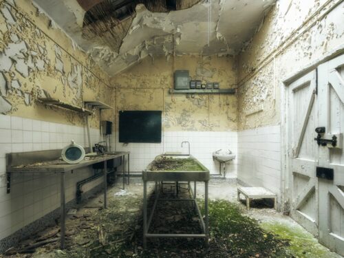 Getting Out of the Asylum in the Nineteenth-Century - Atmostfear ...