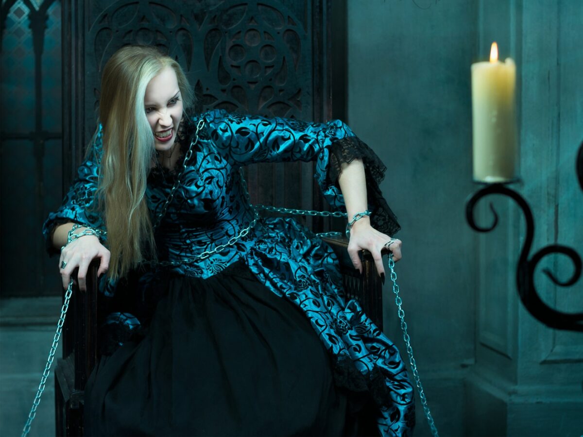 The Paradox of Horror: The Dark Side of Gothic Aesthetics – Atmostfear ...