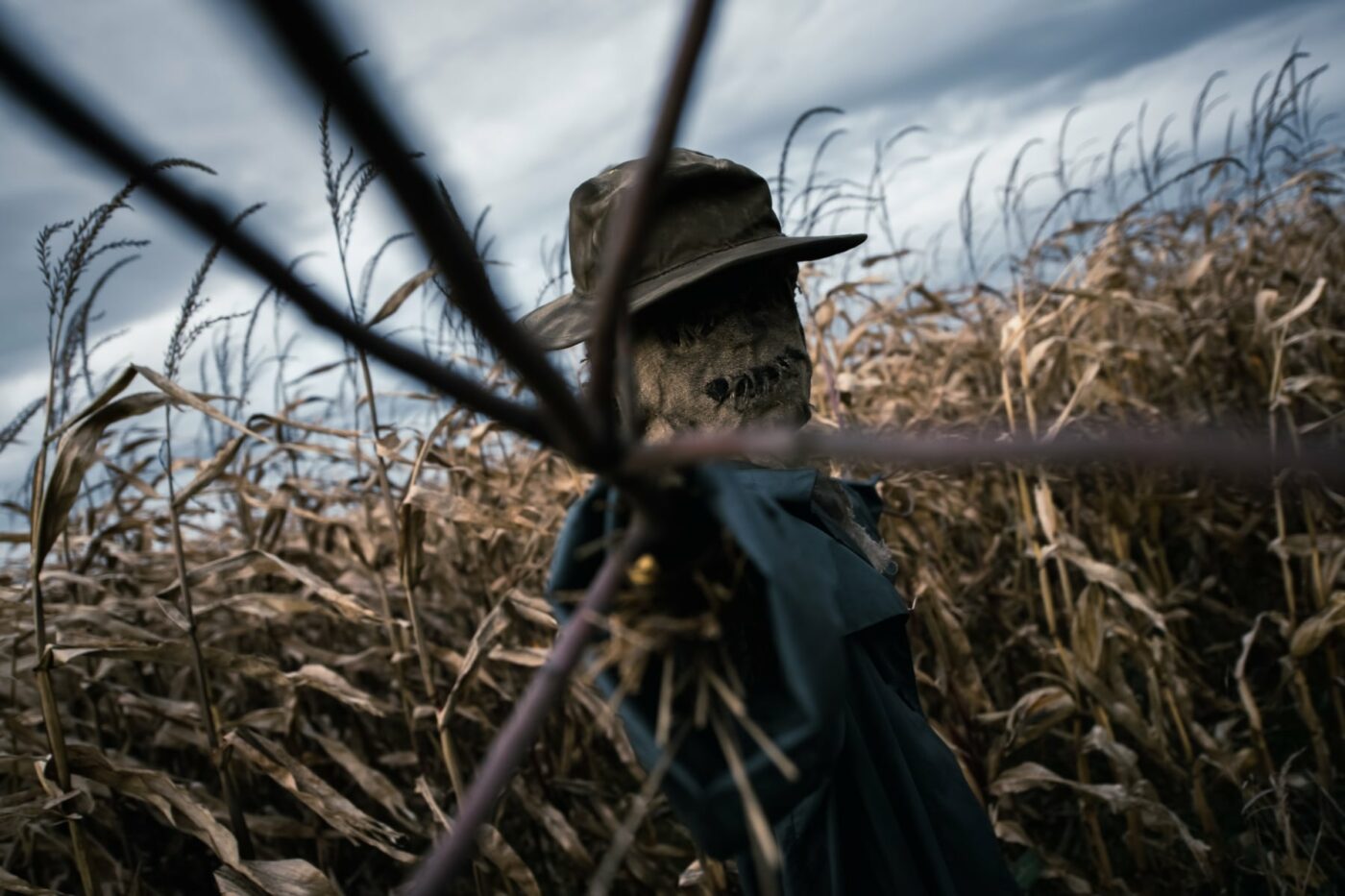 Horror Cinema and the Mad Science of Nature – Atmostfear Entertainment